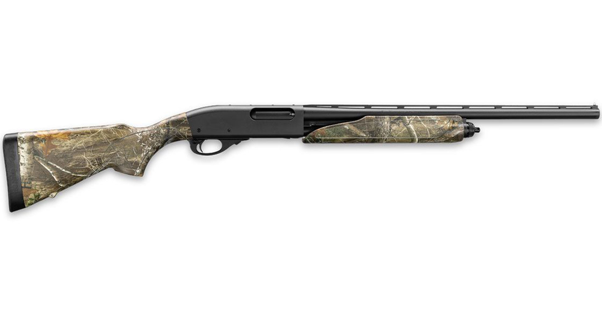 Turkey Hunting 101