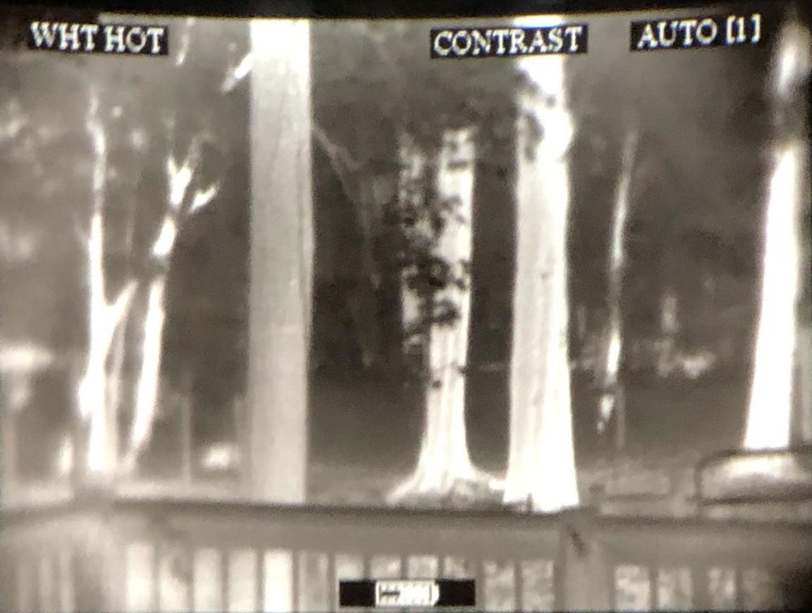 A Guide to Thermal & Night Vision Optics